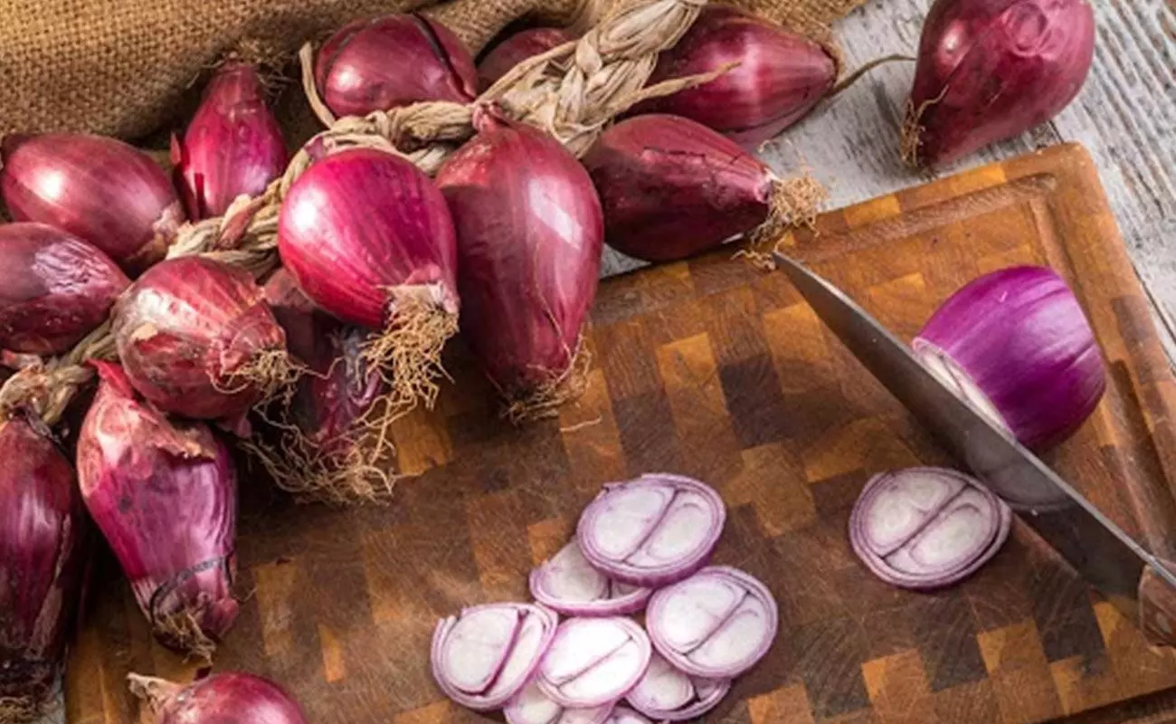 Borghi marinari della Calabria: scopri Scilla e Pizzo - Veratour