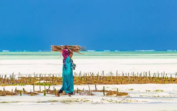 Zanzibar, tra storia e cultura: l’anima dell’isola delle spezie - Veratour